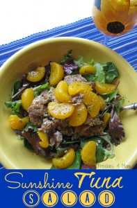 🍊Sunshine Tuna Salad Recipe with Ocean Naturals - Freebies 4 Mom