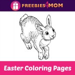🐰Free Kids Printable: Easter Coloring Pages - Freebies 4 Mom