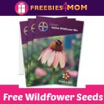 *Expired* 🌻Free Wildflower Seeds from Bayer - Freebies 4 Mom